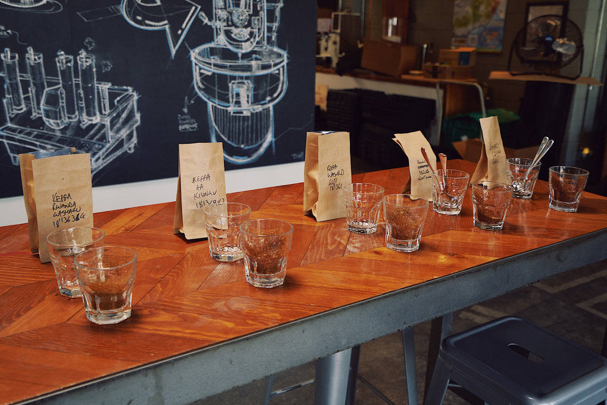 Coffee Philosophy – Tectonic Coffee Co.